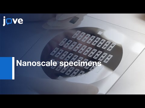 In Situ Electromechanical Characterization of Nanoscale specimens |Protocol Preview