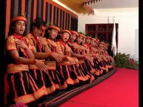 Indonesia : Tari Saman