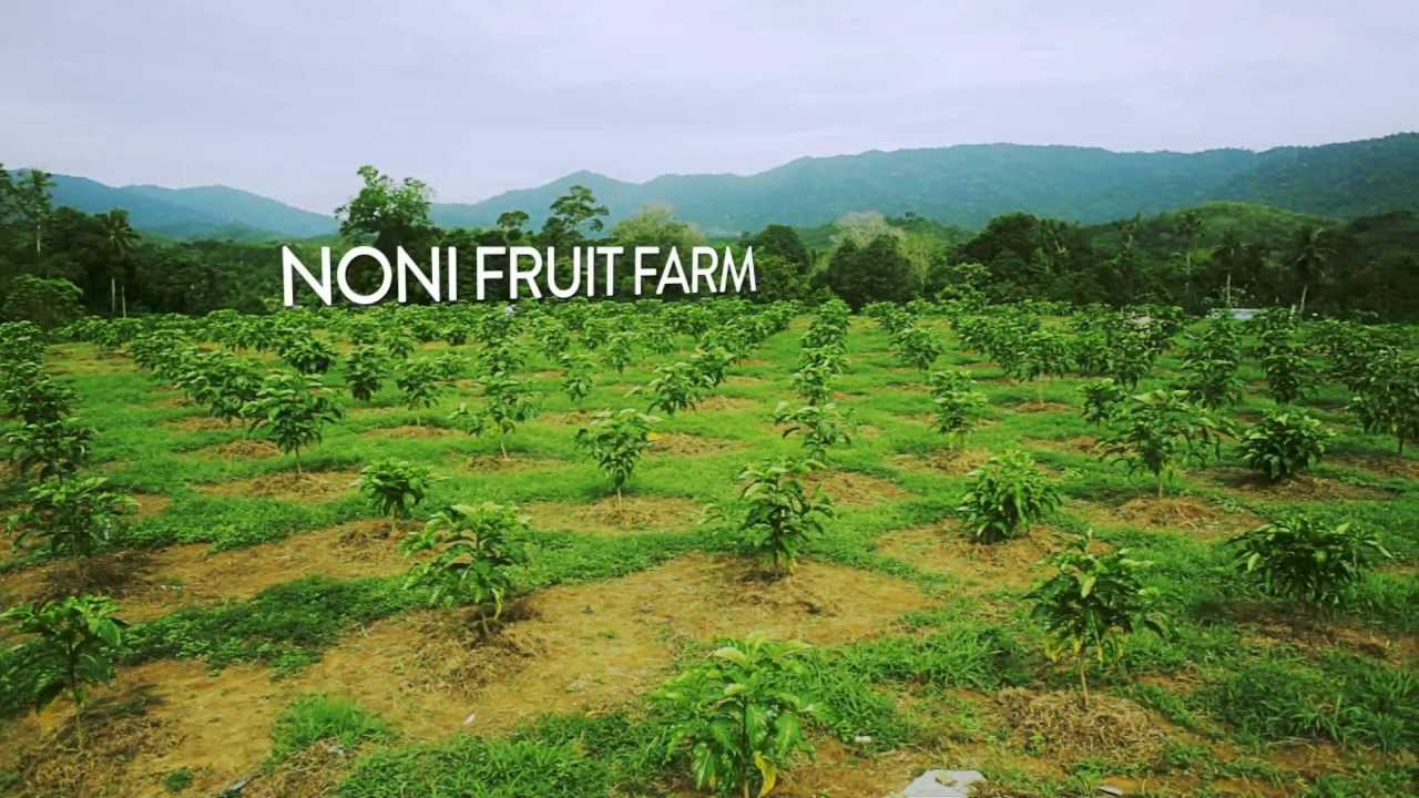 [Ep. 3] From Fermentation to Fruit Juices