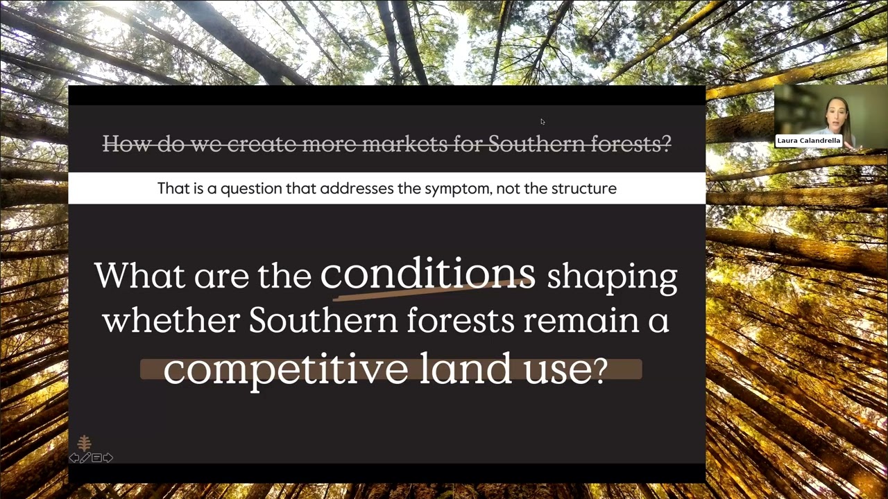 Markets, Momentum, and the Decade Ahead for Southern Forests