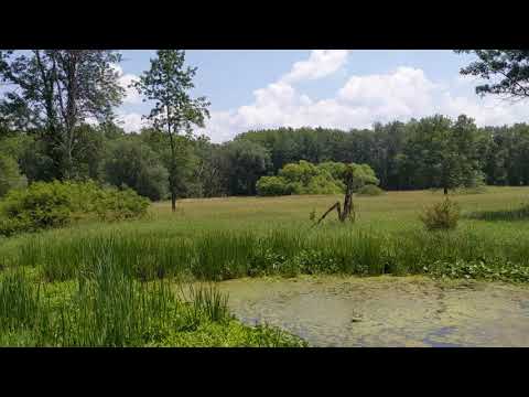 Verona NJ Trails
