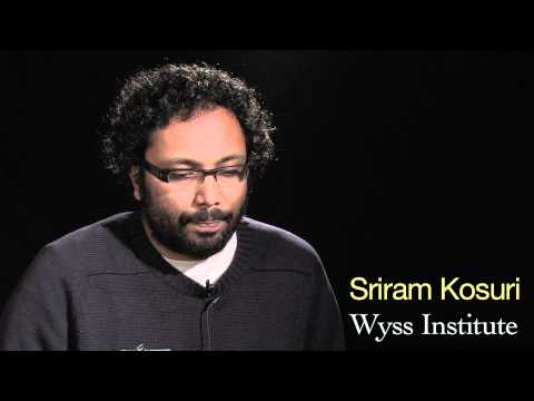 Wyss Insitute: Low-cost gene synthesis