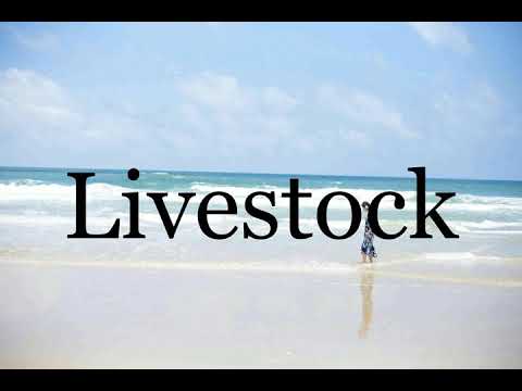 How To Pronounce Livestock🌈🌈🌈🌈🌈🌈Pronunciation Of Livestock