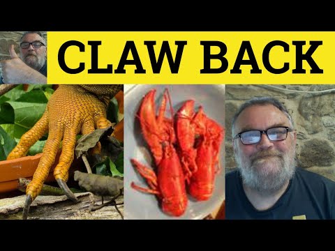 🔵 Claw Back Meaning - Claw Back Examples - ClawBack Definition - Phrasal Verbs