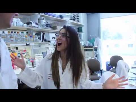 How Scientists Make Babies – illumidigital