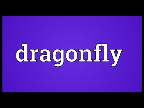 Dragonfly Meaning