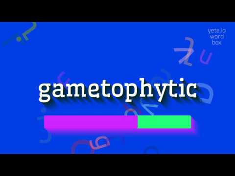 How to say "gametophytic"! (High Quality Voices)