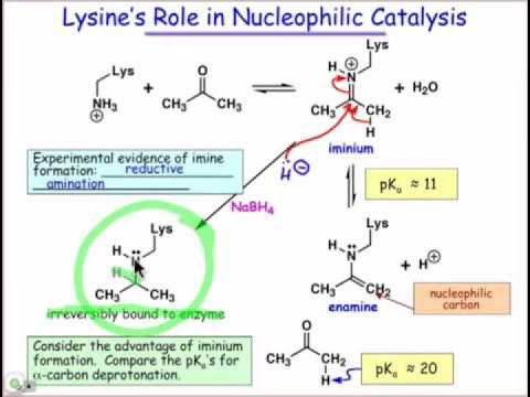 Catalysis