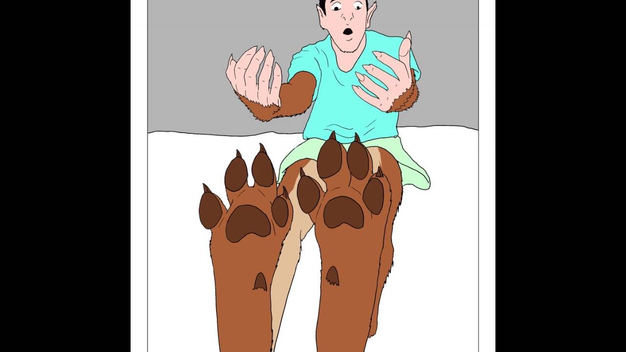 werdna Dog