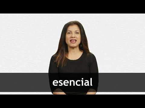 English Translation of “ESENCIAL” | Collins Spanish-English Dictionary