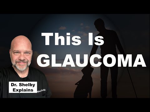 Glaucoma: The Most Important Eye Disease You NEED to know about