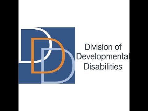 Navigating the Division of Developmental Disabilities