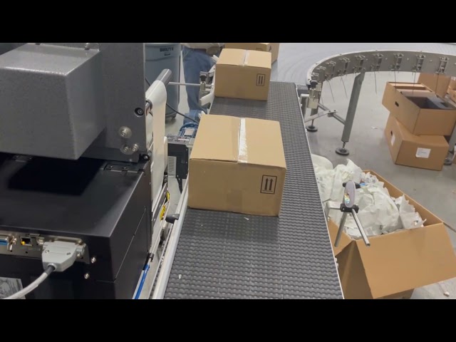 Dual Panel Printer Applicator - Model 252 | Dual Label Application on ...