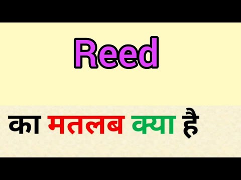 Reed meaning in hindi || reed ka matlab kya hota hai || word meaning english to hindi