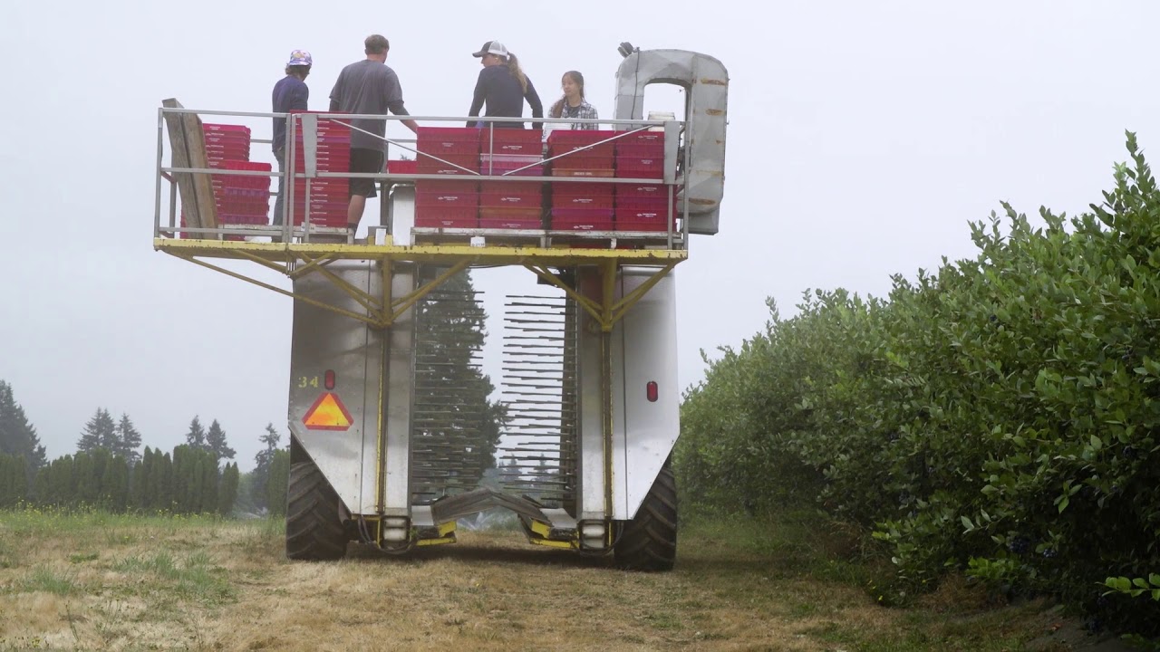 Ecampus field trip demonstration