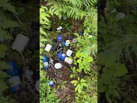 Every Litter Bit Hurts #littering #trash