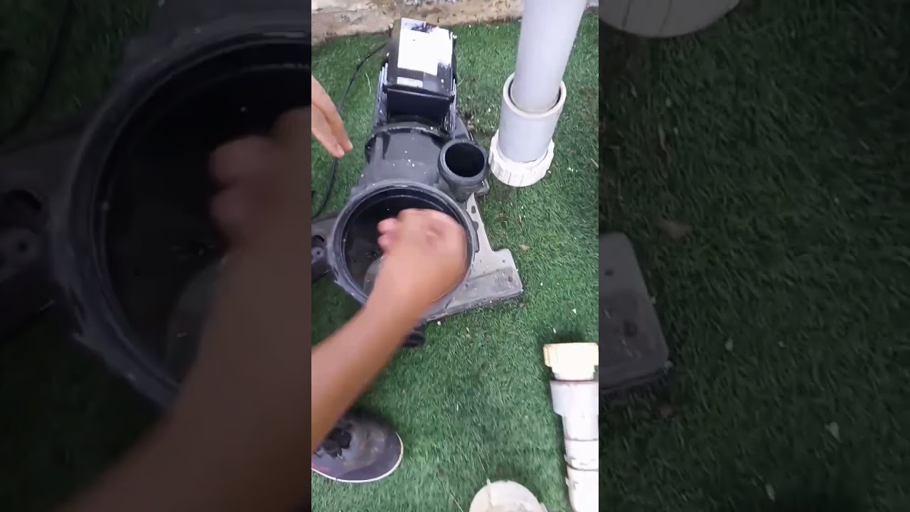 Pool pump repair|pump motor leaking water#short#vedio#