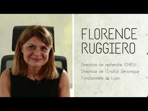 Mots de chercheuse : Florence Ruggiero