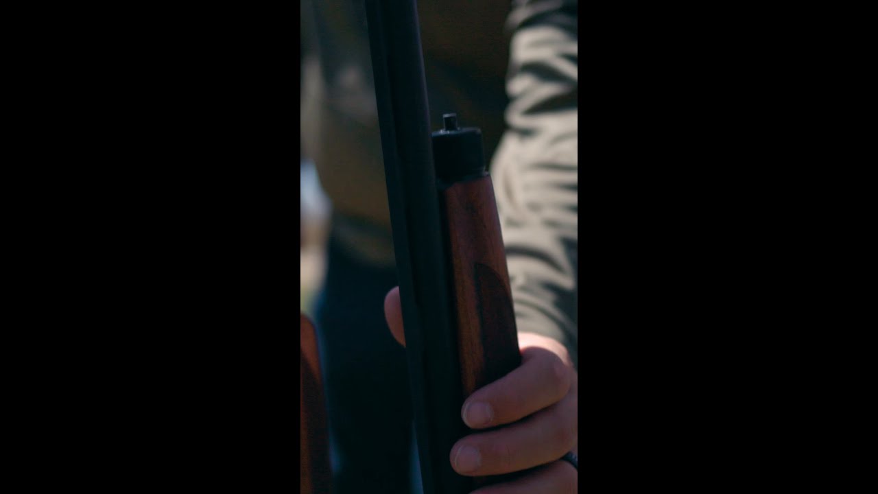 Model 560 Field #SavageArms #shotgun #waterfowl #trapshooting