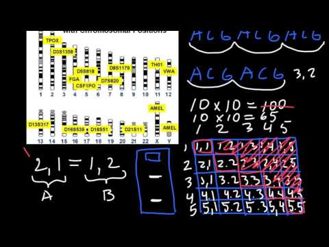 DNA paternity test explained