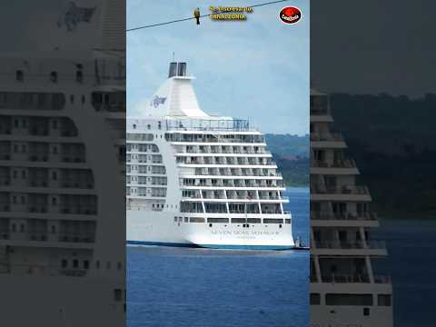 🟣 CRUZEIRO SEVEN SEAS VOYAGER 🇧🇸 em Manaus