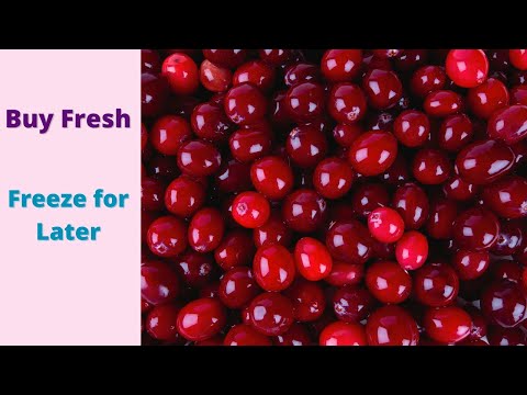 How To Do IQF Cranberries At Home l Individually Quick Frozen #shorts