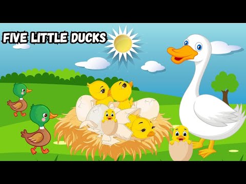 Five Little Ducks🐥 || Rhymes Land