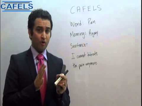 CAFELS (Basic English): Pain Meaning and Sentence in Urdu/Hindi-Canada Qualified