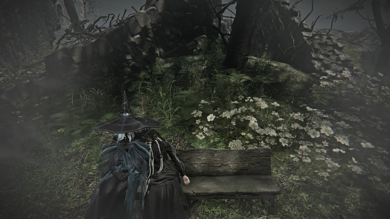 Recluse, Revenant and Undertaker are a triad | Elden Ring Nightreign