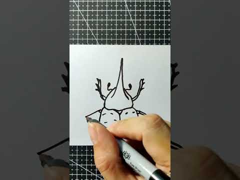 This is My Quick Drawing of Beetle