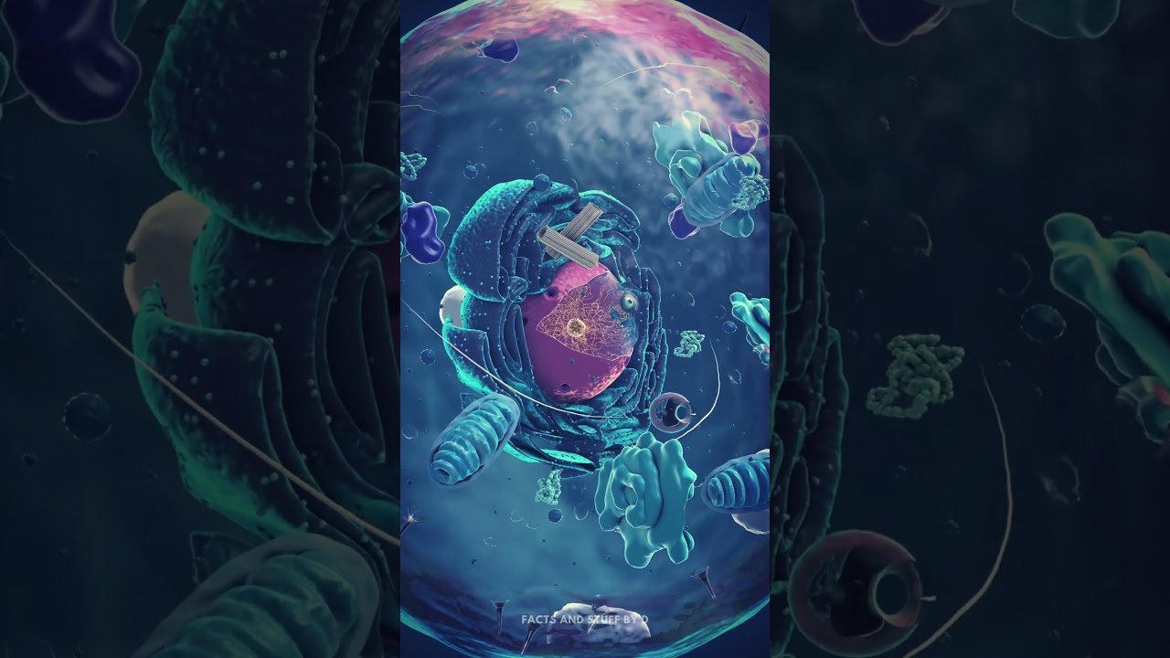 A depiction of a cell | #biology #science #cellbiology #cells