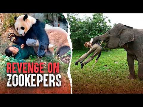 The Deadliest Zoo Attacks: When Animals Fight Back