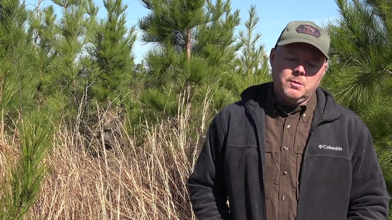 Perry Clements: Success Story for Association of Consulting Foresters (ACF)