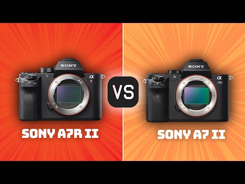 Sony A7R II vs Sony A7 II: Which Camera Is Better? (With Ratings & Sample Footage)