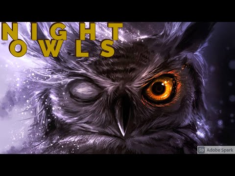 Night Owls on Movies