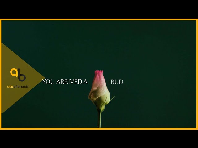 The Ritz-Carlton: Leave Better, Bud Bloom - adsofbrands.net