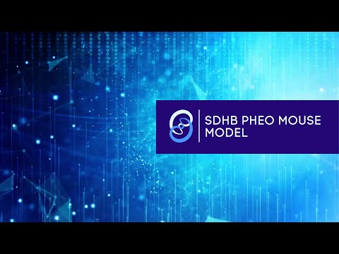 SDHB Mouse Model for Pheochromocytoma