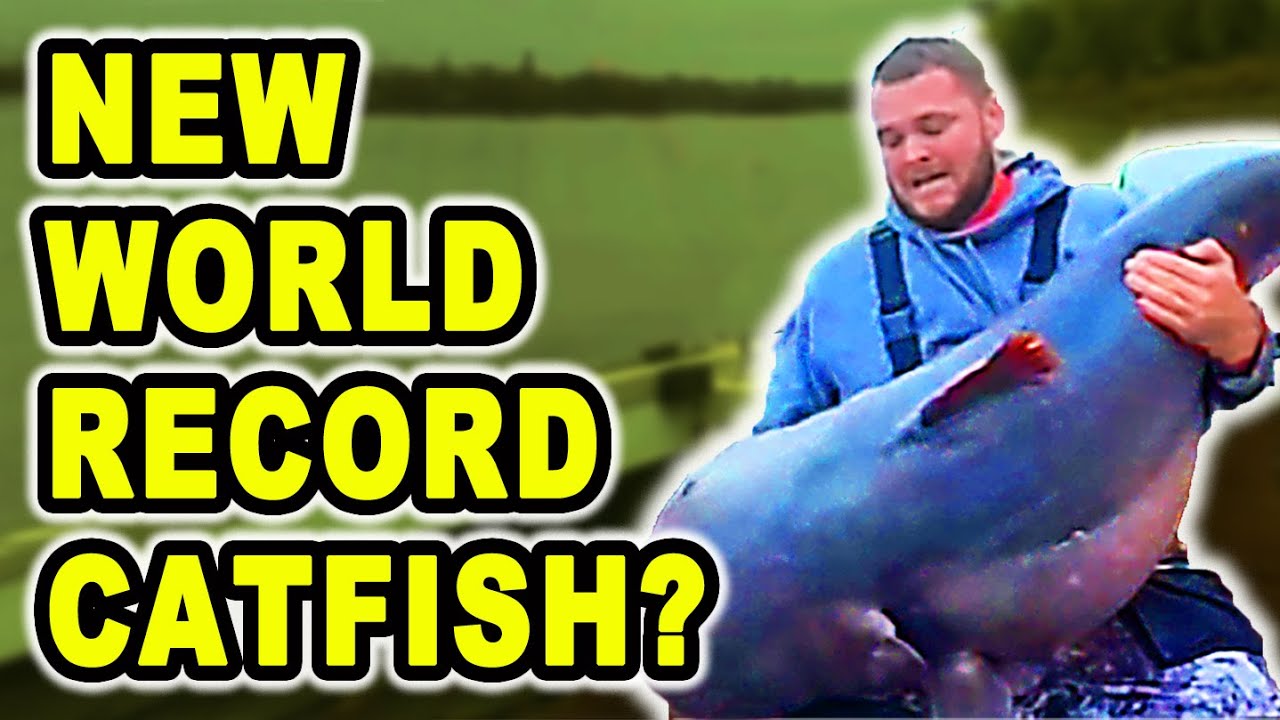 A New World Record Blue Catfish?
