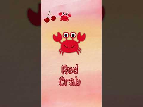 Learn the Color RED!🍒 | Kids Vocabulary | English Teacher #colors #learnenglish