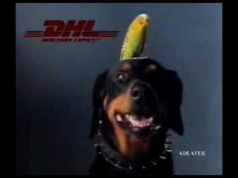 DHL-International Delivery
