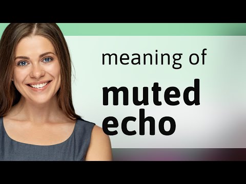 Understanding "Muted Echo"
