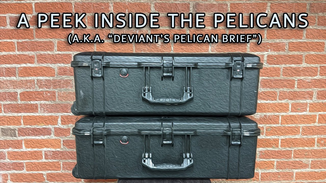 A Peek Inside the Pelicans  (a.k.a. 