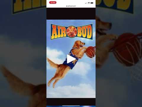 Air Bud Entertainment Movies and Show I Like in my Opinion