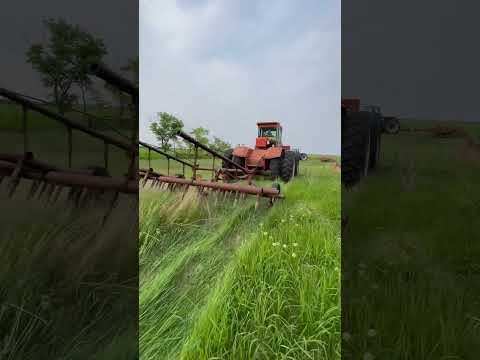 Co-op bearcat first time this year #agriculture #canada #agriculturefarming #farming