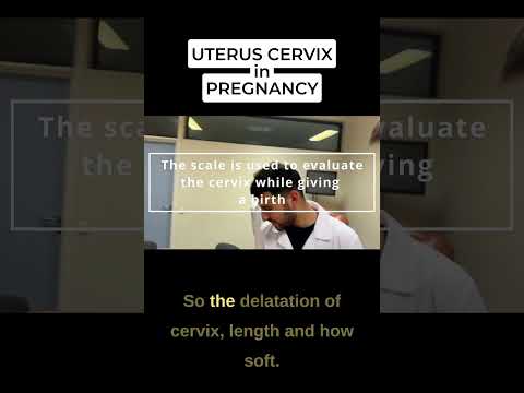 🤰 Crazy PREGNANCY test 🤰