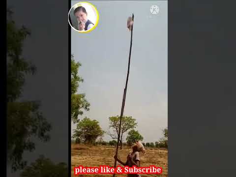 How to do Flag hosting