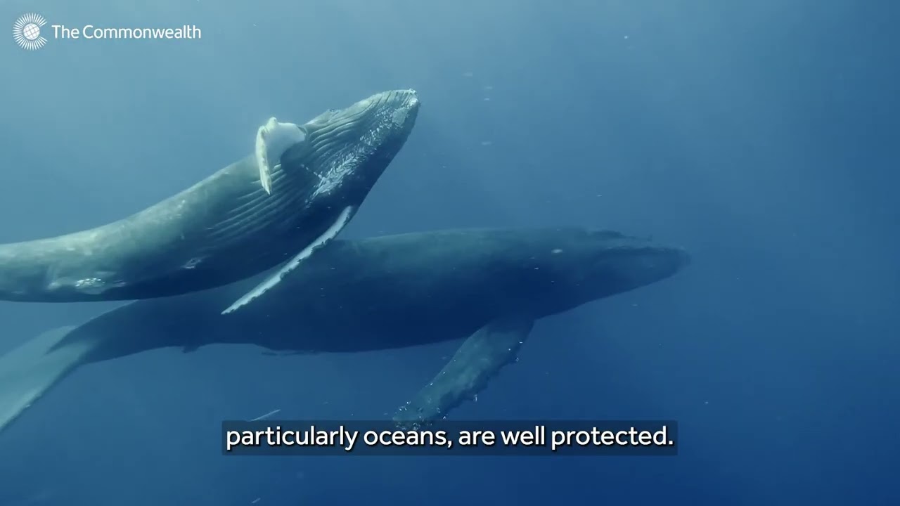 Sea Change - The Apia Commonwealth Declaration