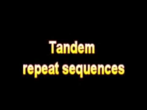 What Is The Definition Of Tandem repeat sequences