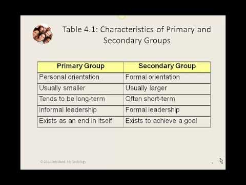 My Sociology Mini Lecture 4.1 What is a Group?