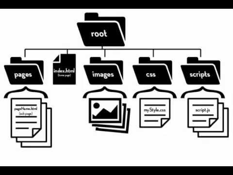 {Web-D 01} File and folder structure